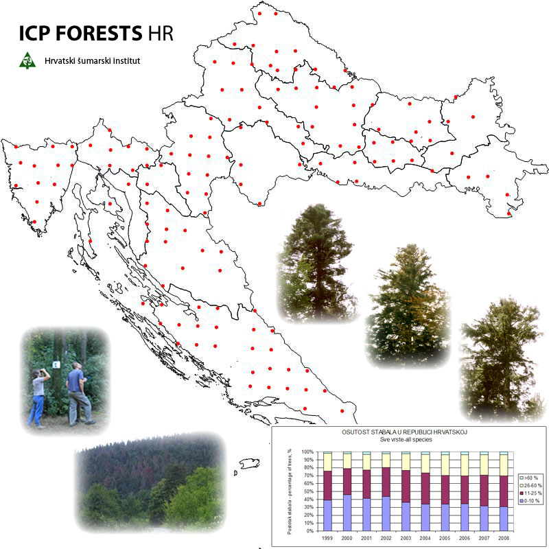 ICP Forests HR